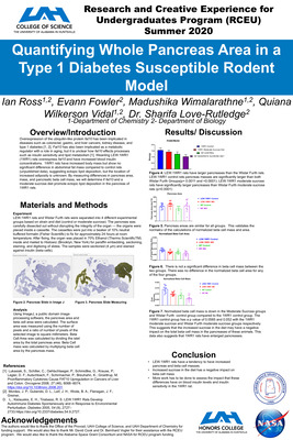Summer Community of Scholars Posters (RCEU and HCR Combined Programs ...